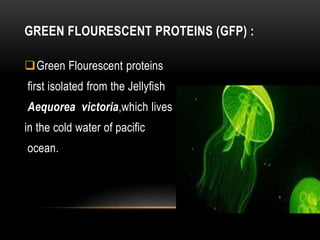 Flourescent Proteins and its Applications in Cell biology | PPTX
