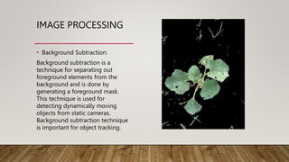 Final Presentation Slides.pptx