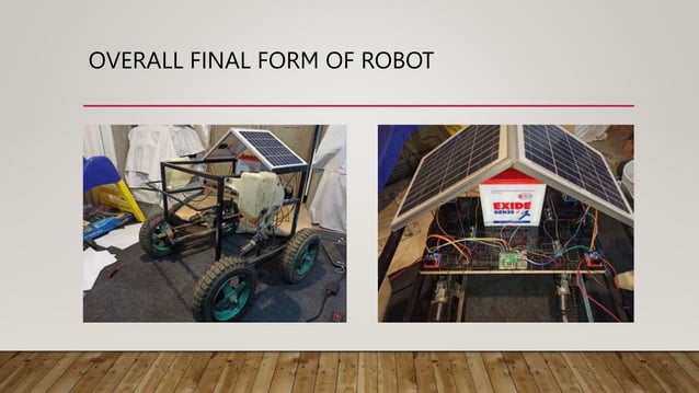 Final Presentation Slides.pptx