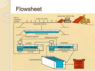 Fundamentals of Flotation | PPTX