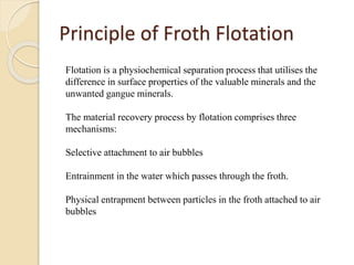 Fundamentals of Flotation | PPTX