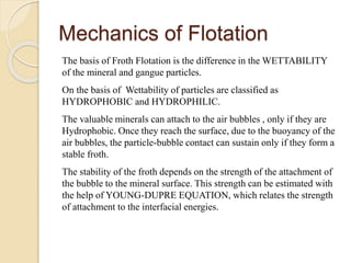 Fundamentals of Flotation | PPTX