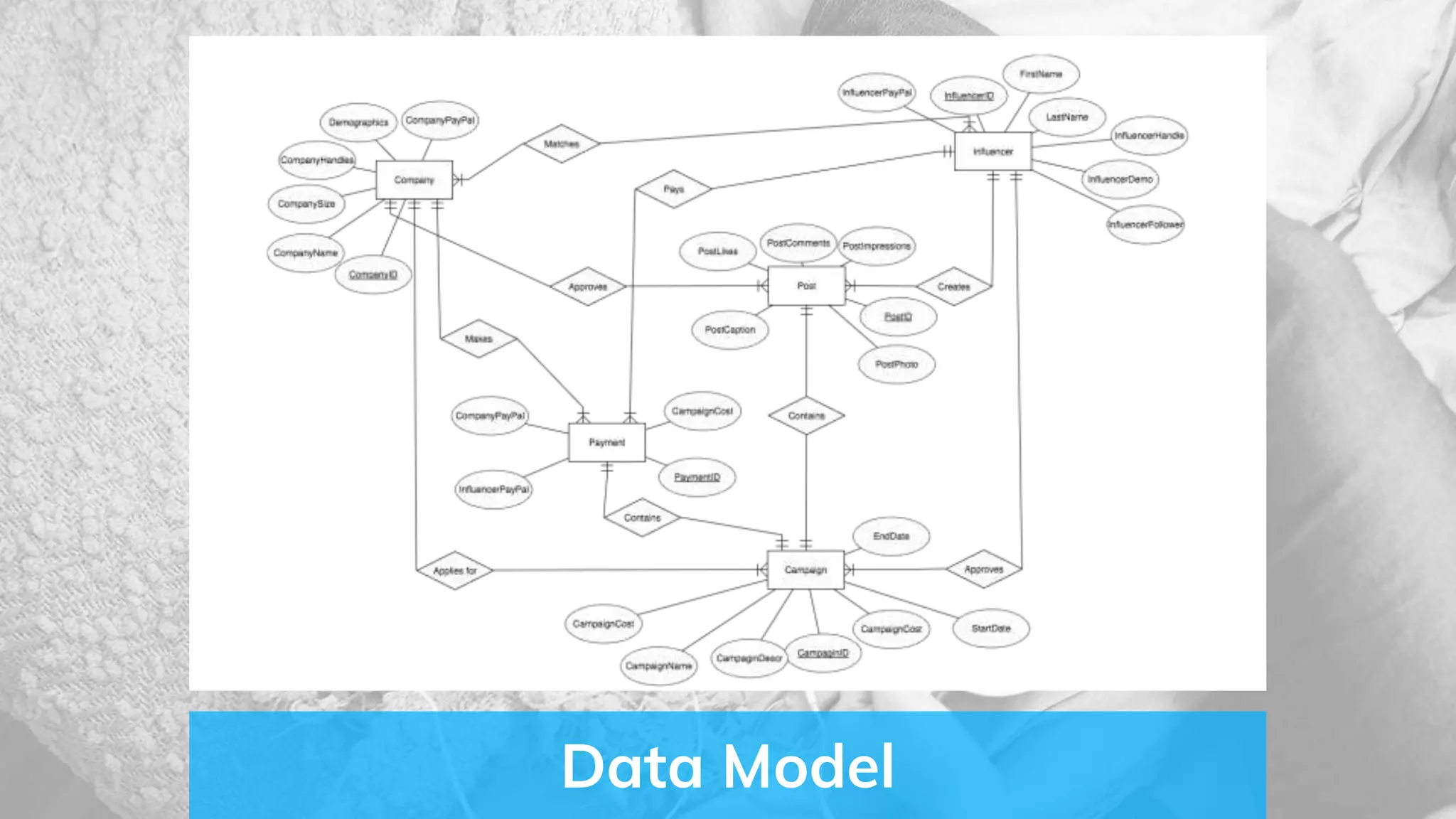 Final presentation (temple mis 4596) | PPTX