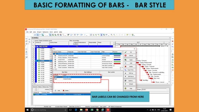 Primavera - Tutorial | PDF