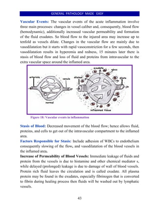 General Pathology Made Eeasy | PDF