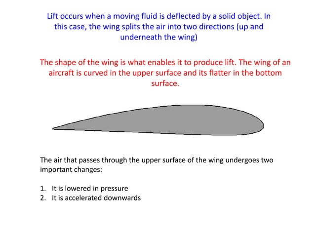 How does a plane fly? | PPTX