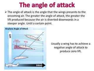 How does a plane fly? | PPTX