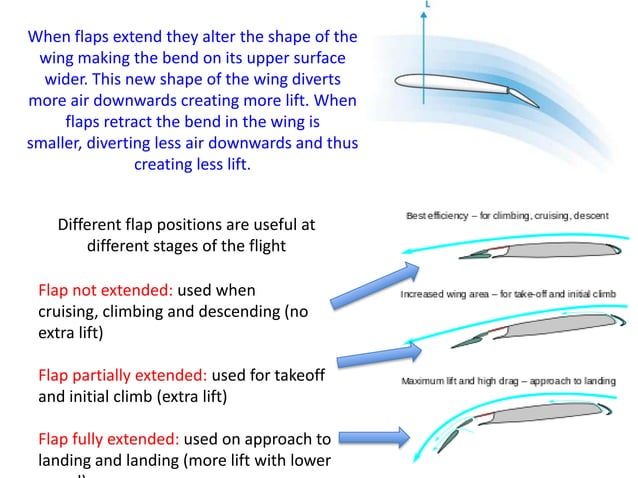 How does a plane fly? | PPTX