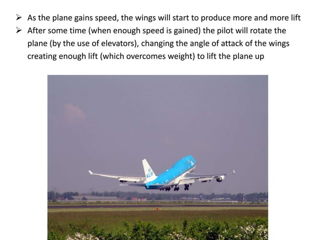 How does a plane fly? | PPTX