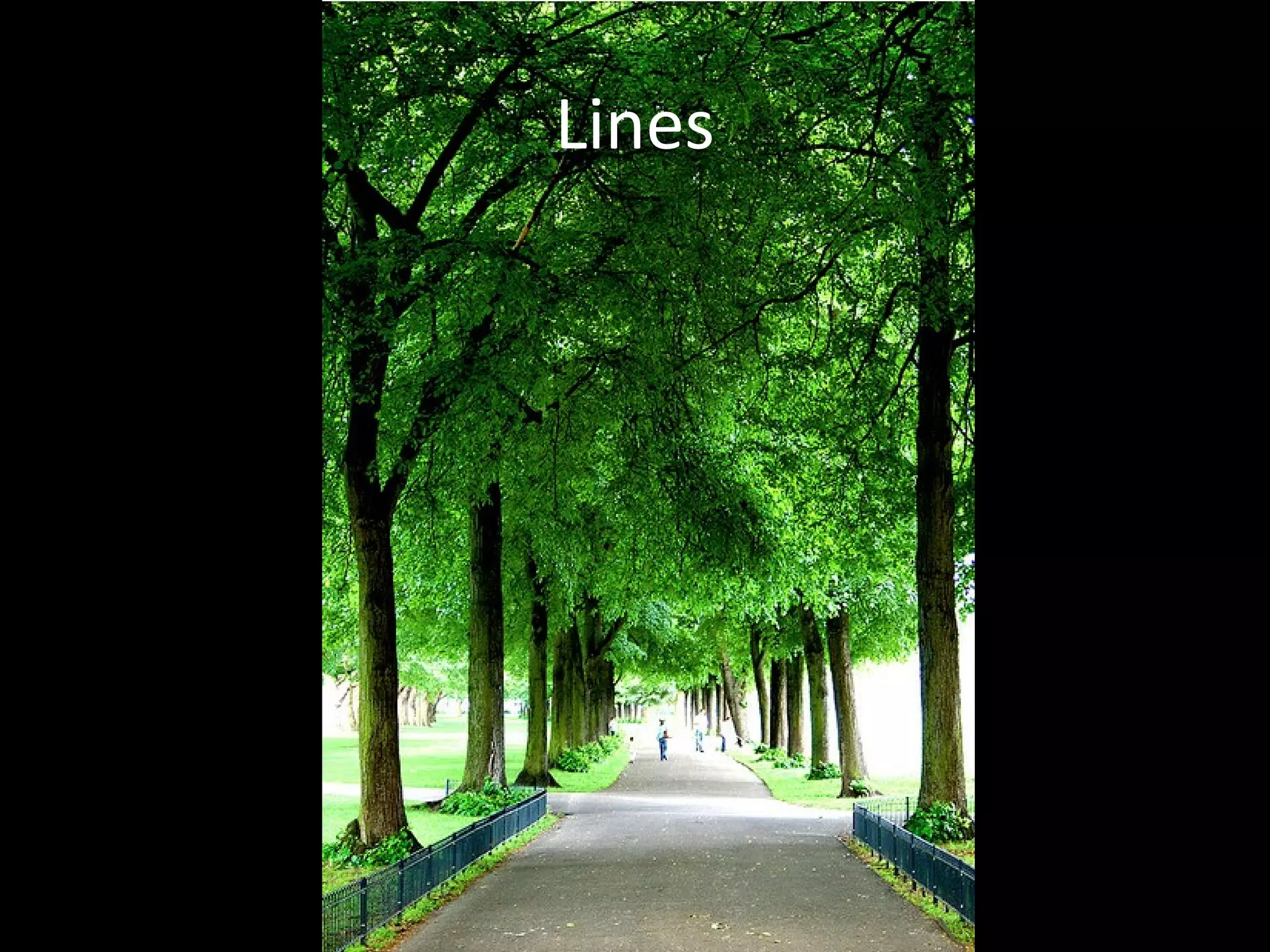 Six Rules of Photography Composition | PPT