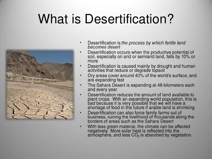 Desertification Examples