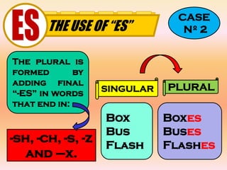 Plural noun forms in English | PPSX