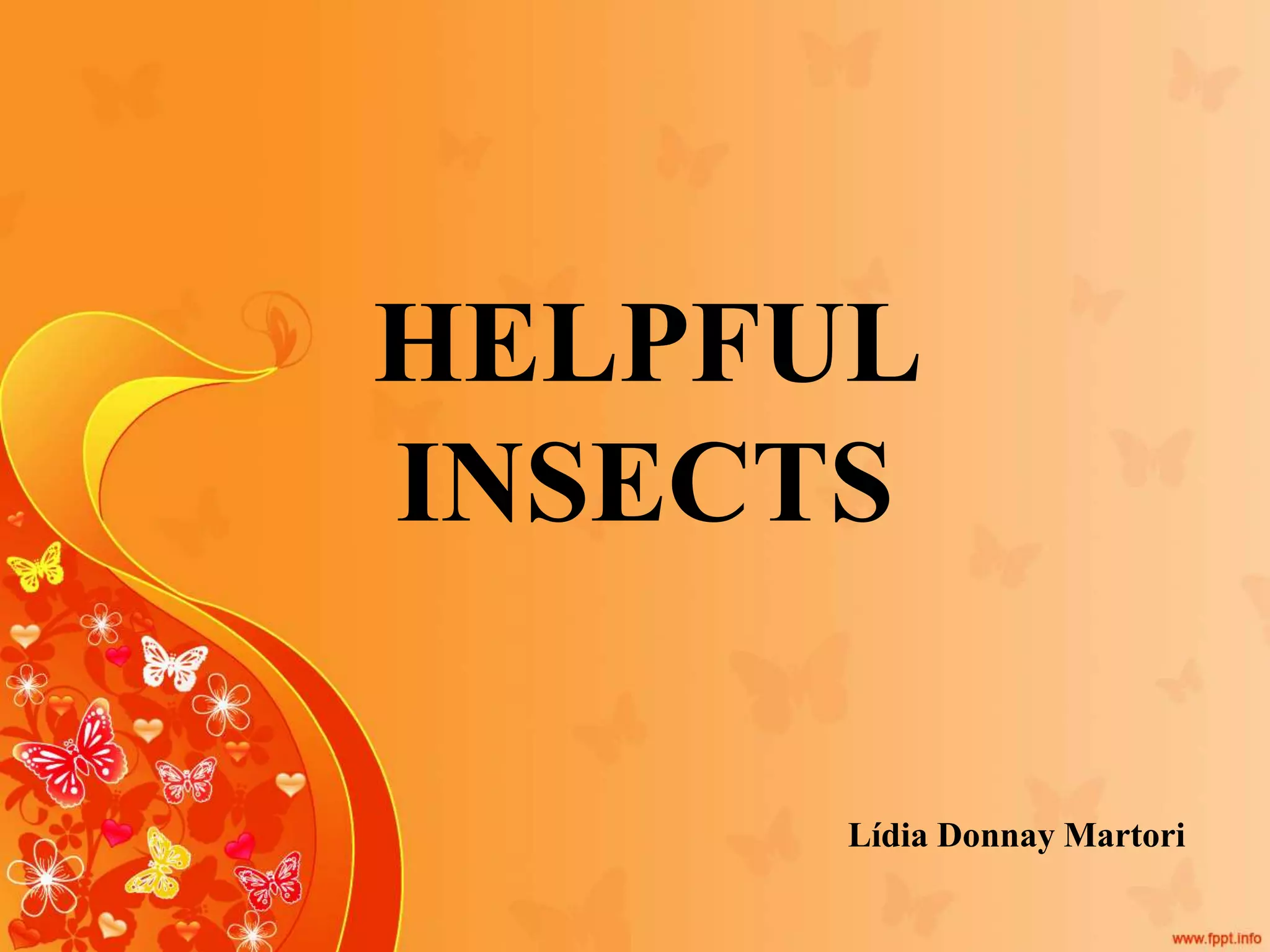 Insects lesson plan | PPS
