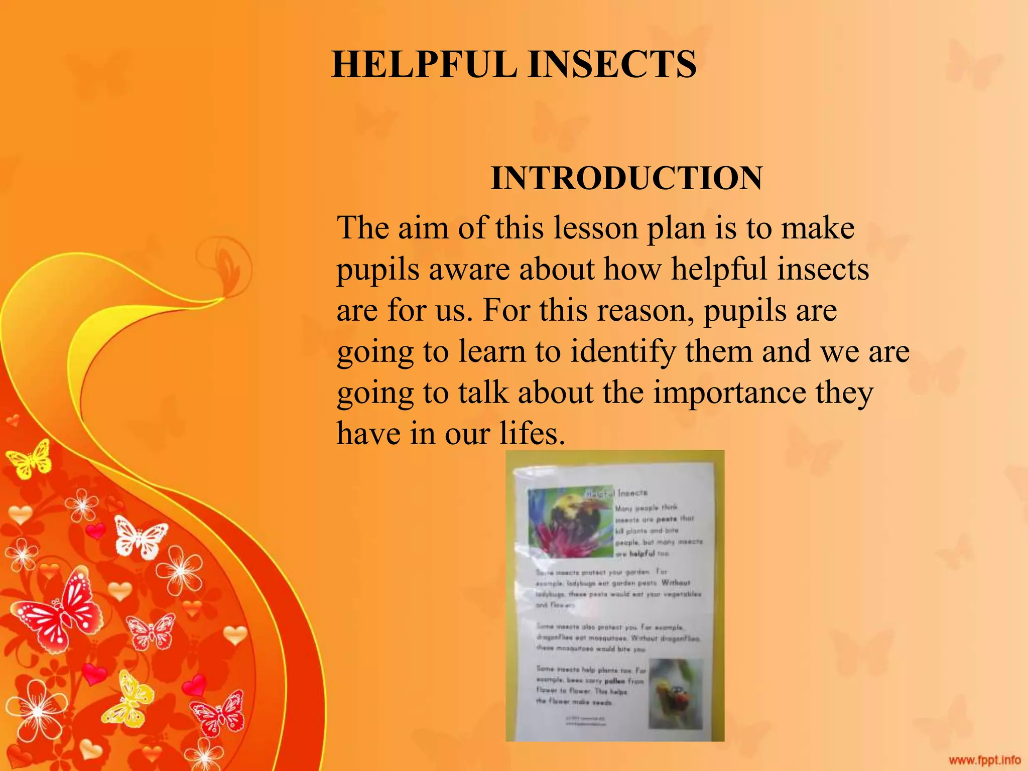 Insects lesson plan | PPS