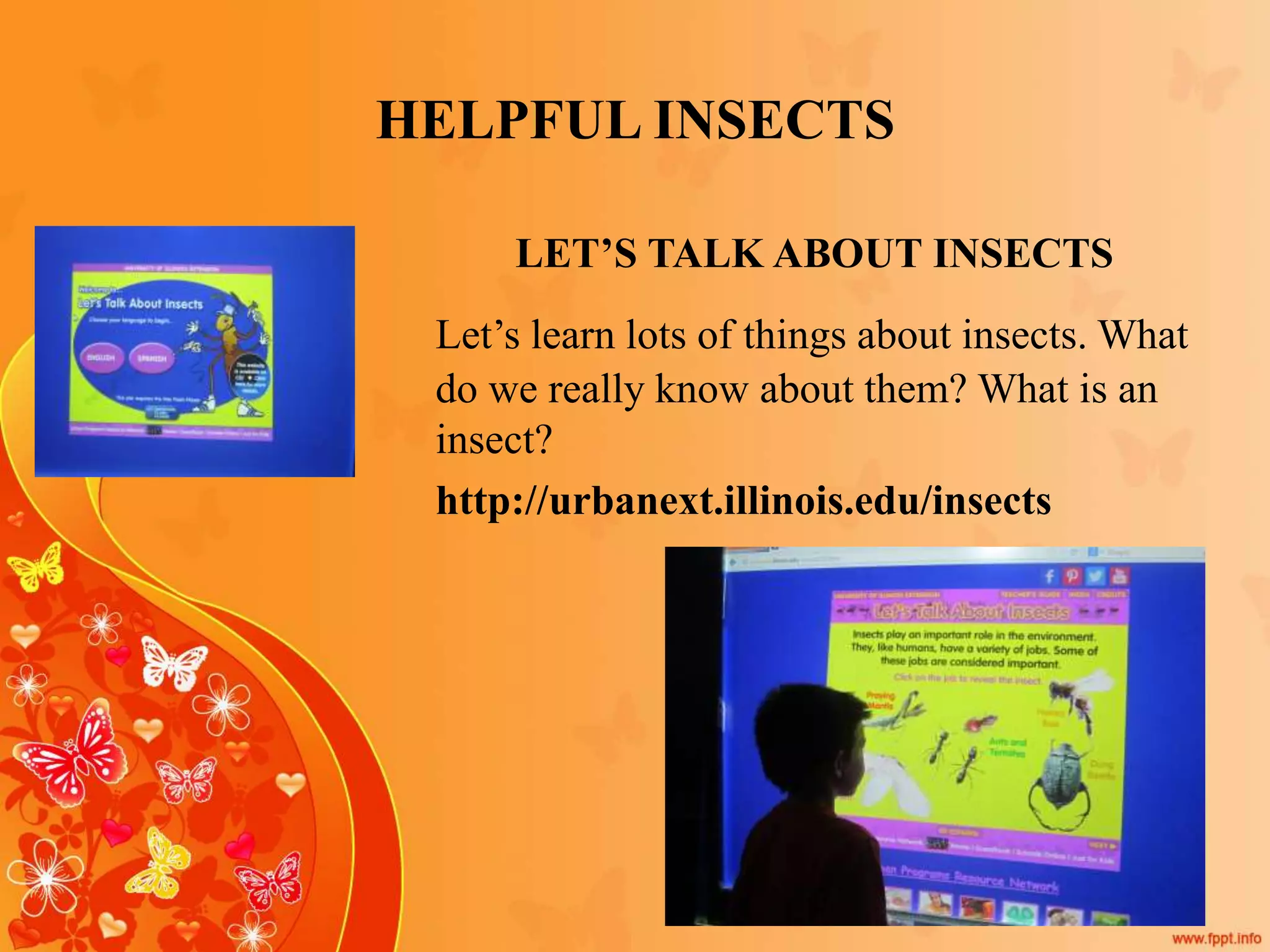 Insects lesson plan | PPS