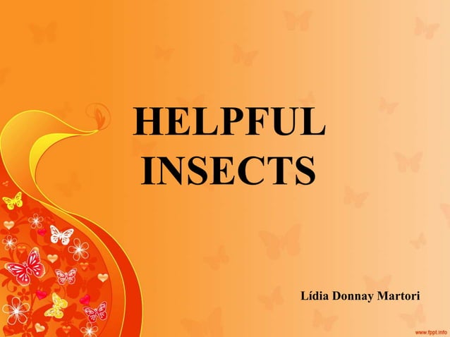 Insects lesson plan | PPS | Beekeeping | Hobbies & Interests