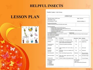 Insects lesson plan | PPS