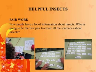 Insects lesson plan | PPS