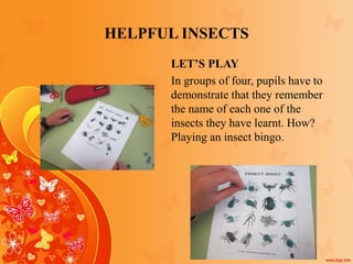 Insects lesson plan | PPS