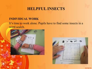 Insects lesson plan | PPS