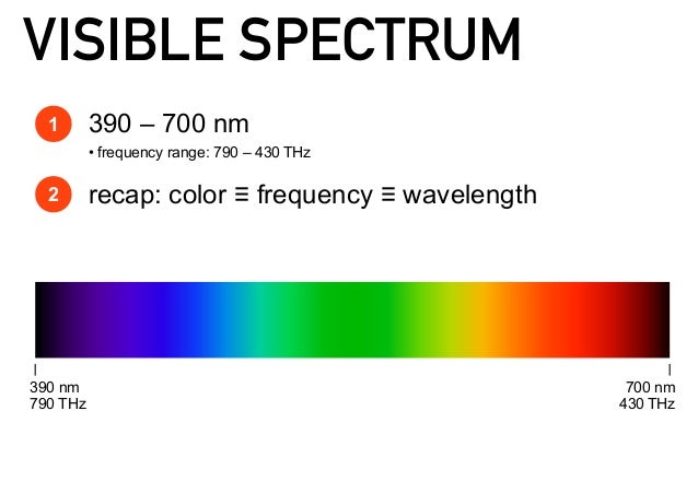 Final project [neurobio-001] Deuteroanomaly