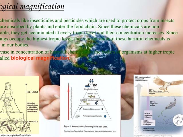 OUR ENVIRONMENT ppt | PPTX