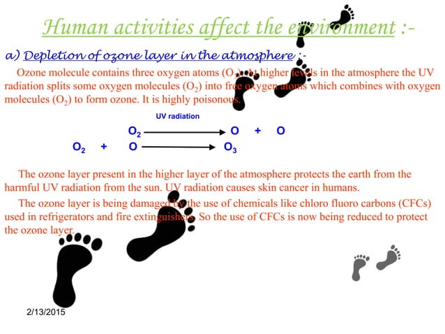 OUR ENVIRONMENT ppt | PPTX