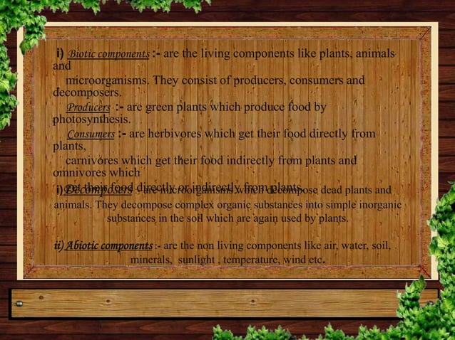 OUR ENVIRONMENT ppt | PPTX