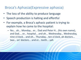 Neurobiology - Final Project | PPTX