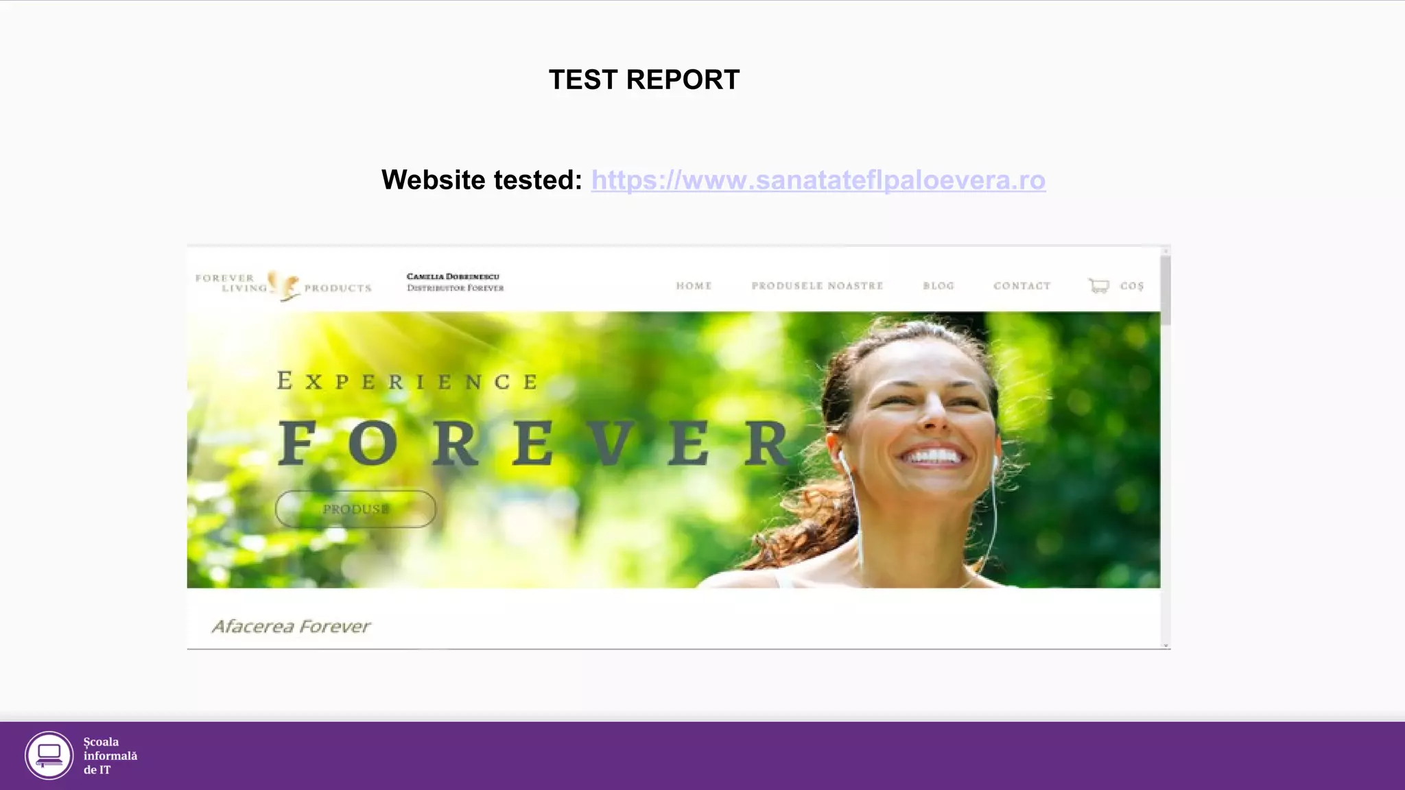 Qa Manual Testing Final Project Ppt Computing Technology And Computing