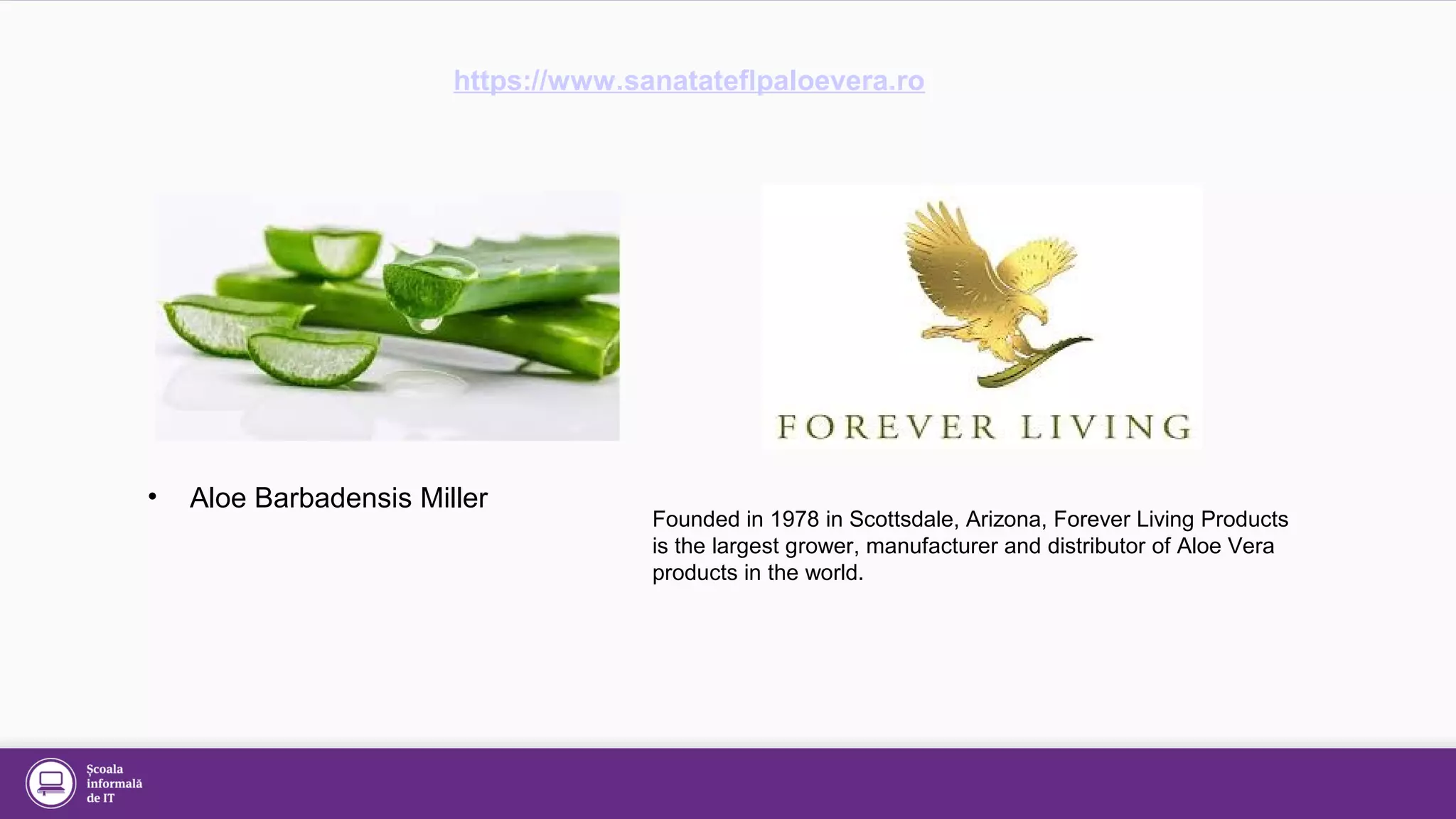 Qa Manual Testing Final Project Ppt Computing Technology And Computing