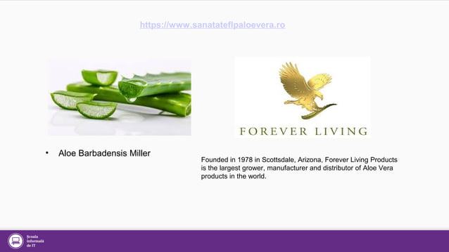 Qa Manual Testing Final Project Ppt Computing Technology And Computing