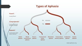 Final project. Aphasia. | PPTX | Brain and Nervous System Disorders ...