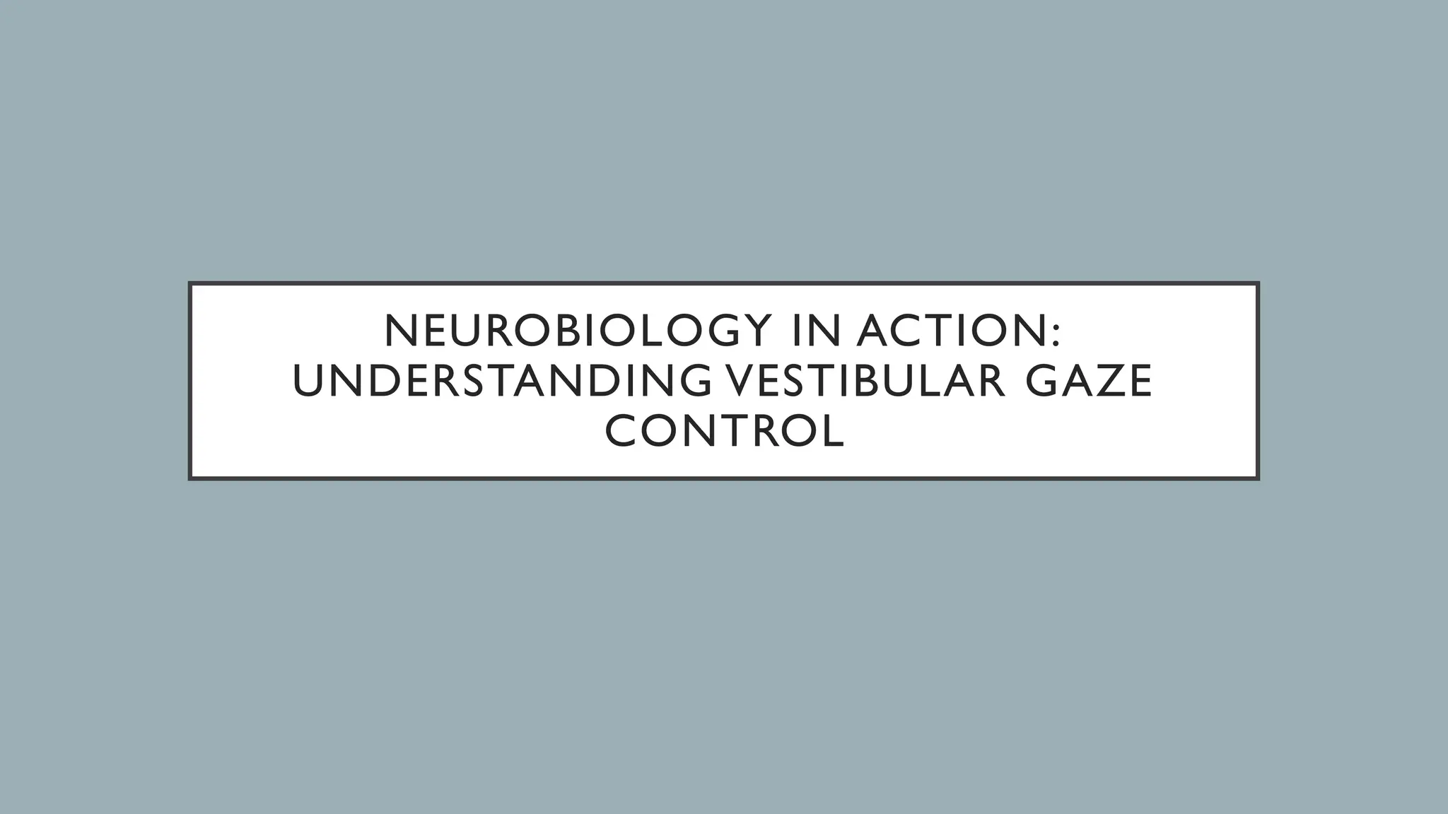 Final Project of the course on neurobiology | PPTX