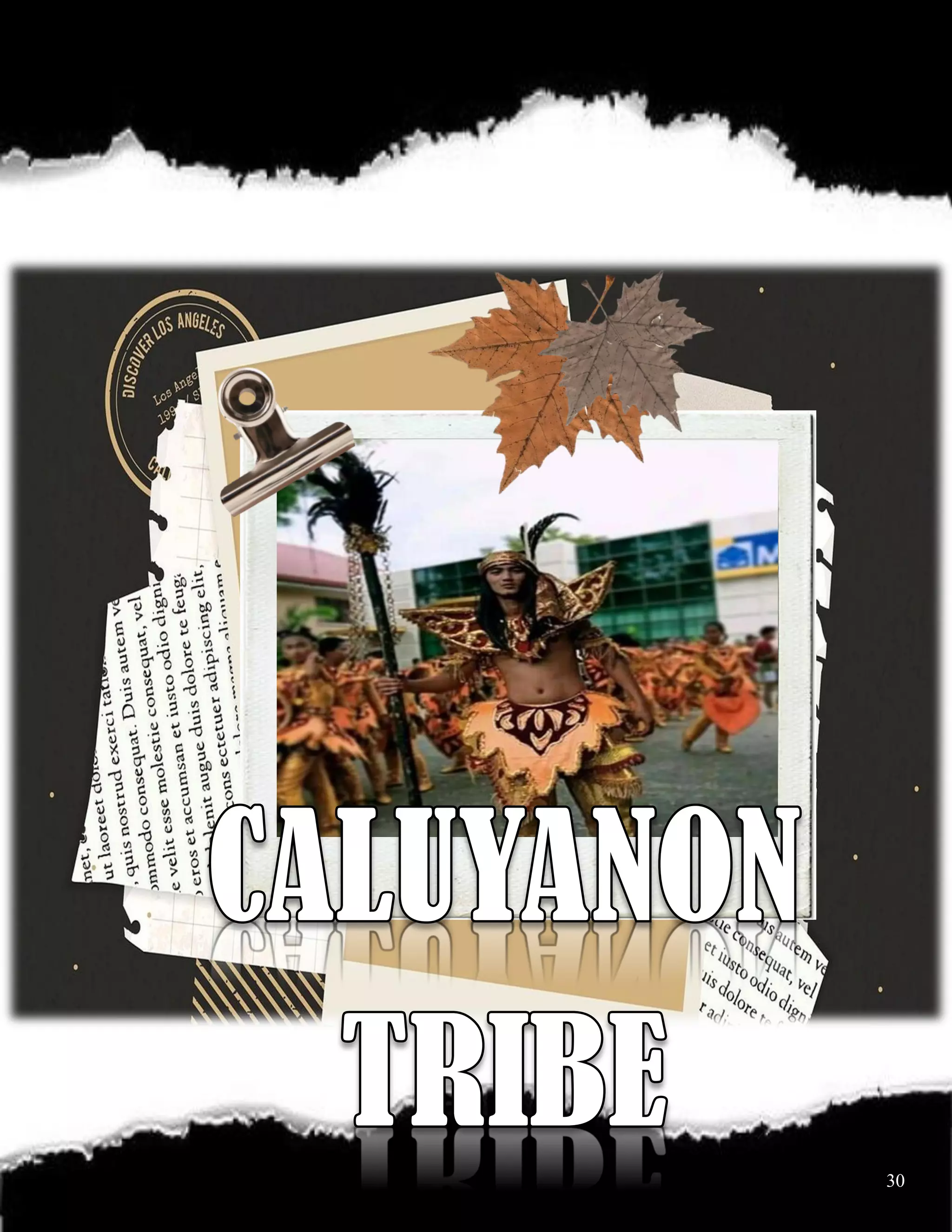 INDIGENOUS ETHNOLINGUISTIC GROUPS IN VISAYAS.pdf