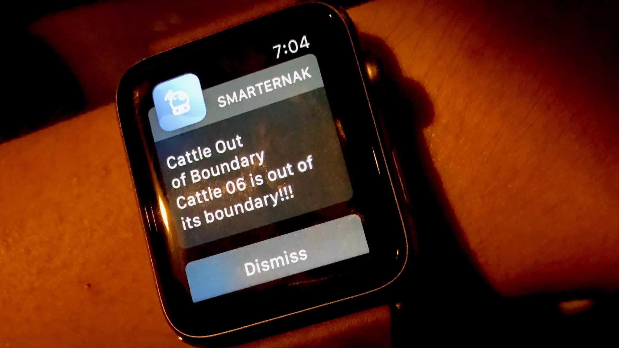 GSMA IoT Final Project - SMARTernak Indonesia by DycodeX | PPT