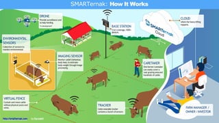 GSMA IoT Final Project - SMARTernak Indonesia by DycodeX | PPT
