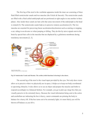 Final project document | PDF