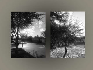 Final project for photography | PPTX