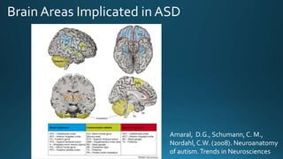 Autism Spectrum Disorder | PPT
