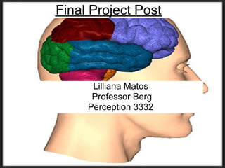 Final Project Post | PDF