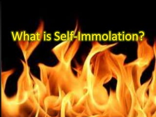 Immolation Definition