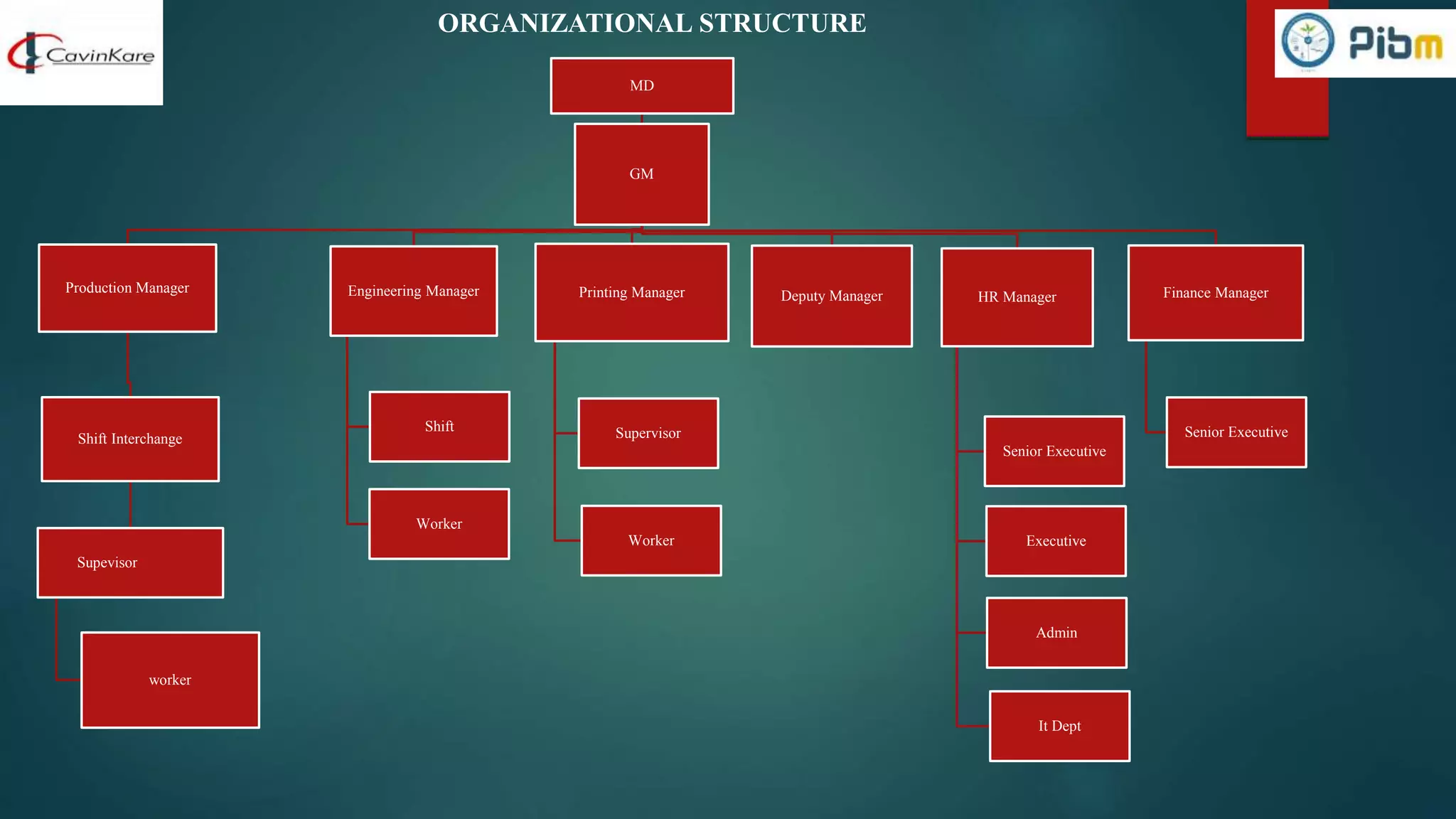 CavinKare Project | PPTX