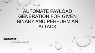 Automate Payload Generation for a Given Binary and Perform Attack | PPT