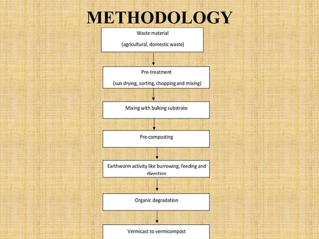 Final Project PPT.pptx