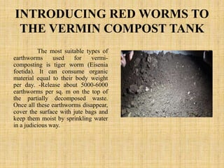 Final Project PPT.pptx