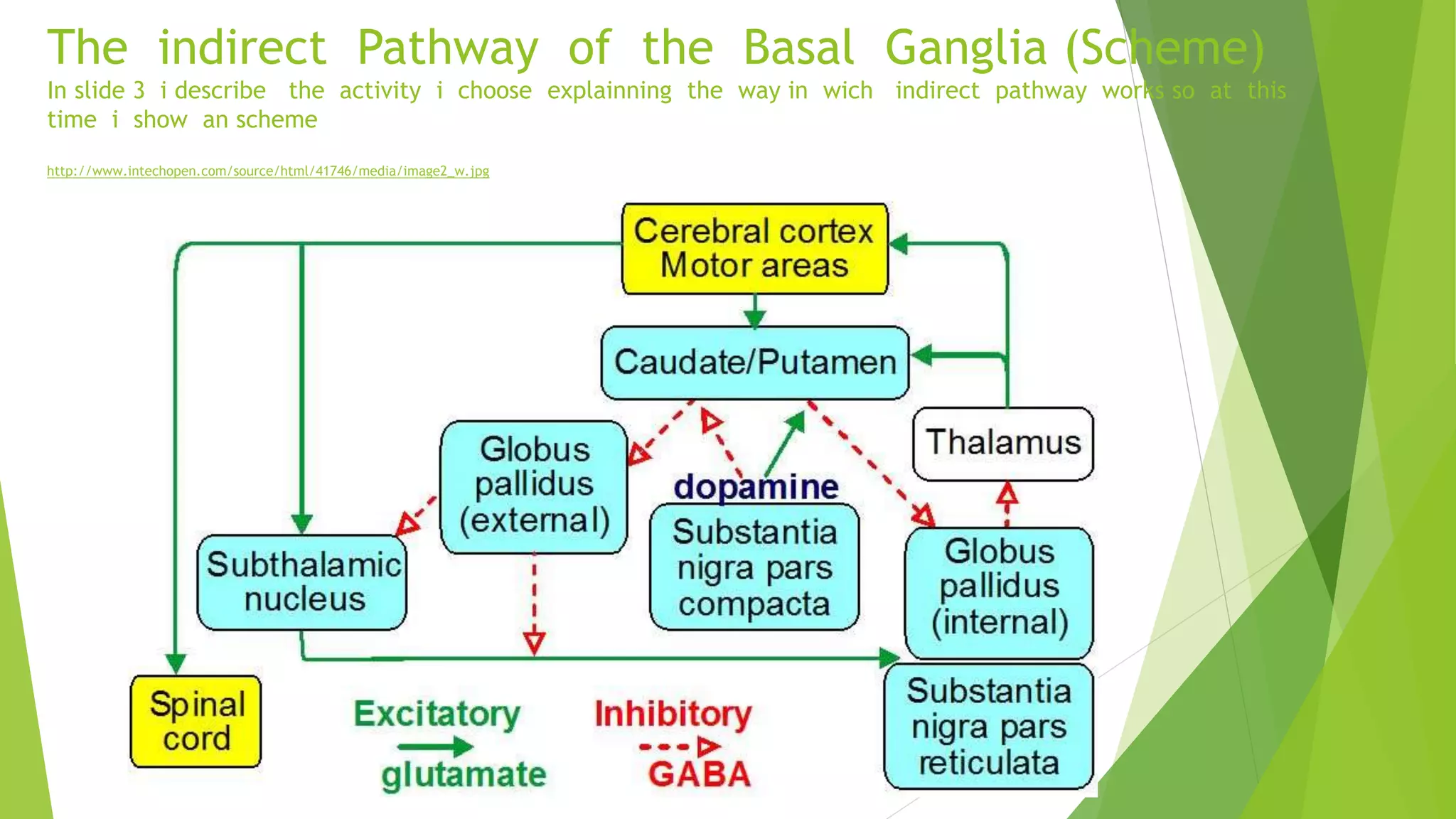 Final Project for Neurobiology Course. | PPTX