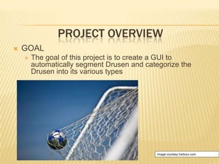 Automatic Drusen Classification | PPTX | Eye and Vision Conditions | Diseases and Conditions