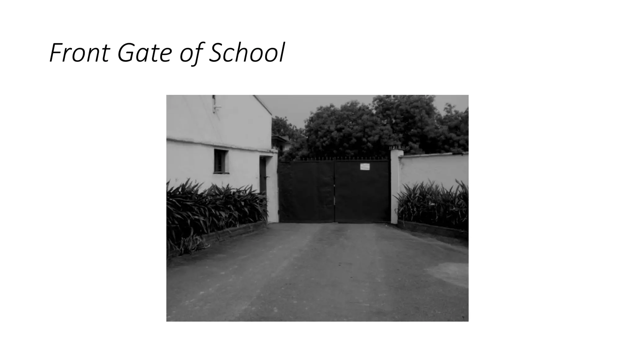 Final project storyboard | PPTX