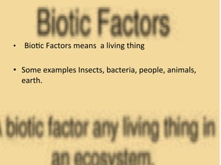 Final Class Project TC | PPT